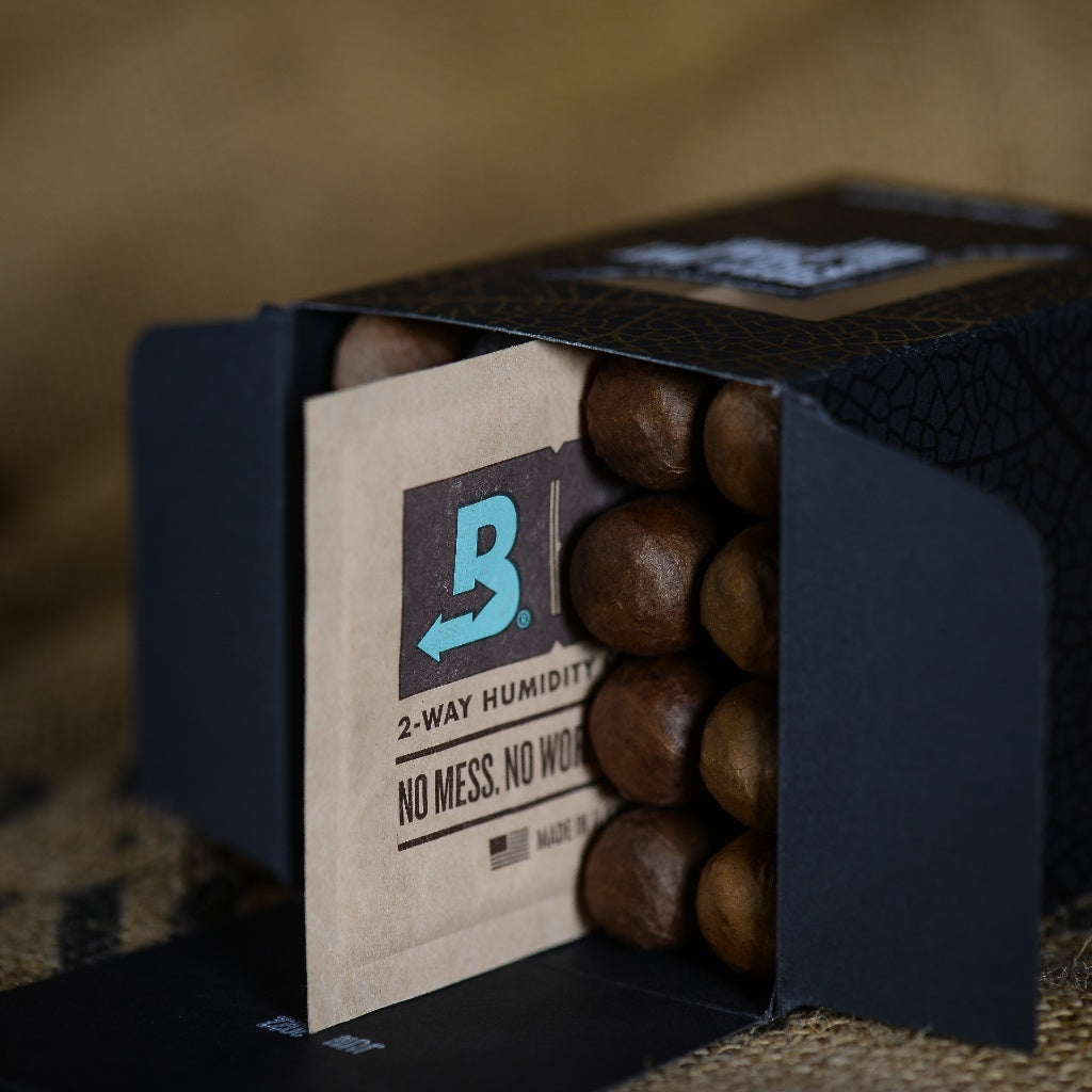 4x48 PABLITO Sampler - Box of 16 – Every Day Is Cigar Day